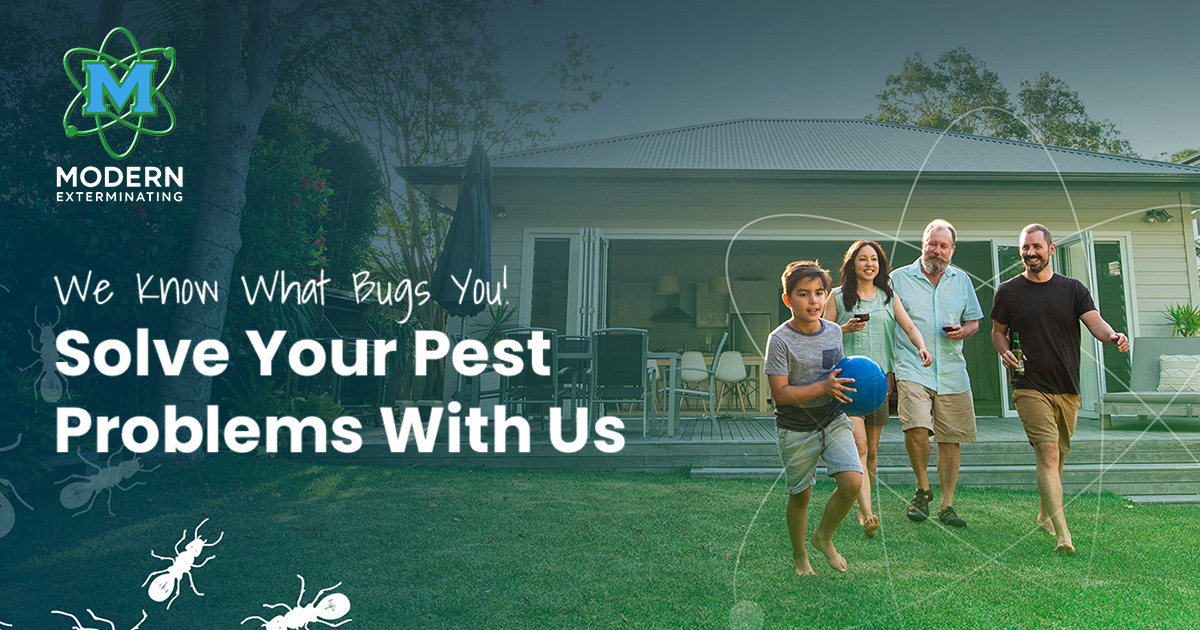 Free Estimates on Columbia Pest Control | Modern Exterminating Co., Inc.